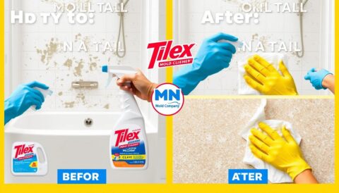 How to Use Tilex Mold and Mildew: A Step-by-Step Guide